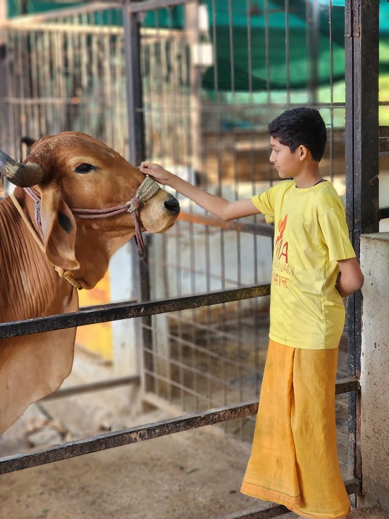 Ma Sharanam Ashram – Ma Sharanam Ashram